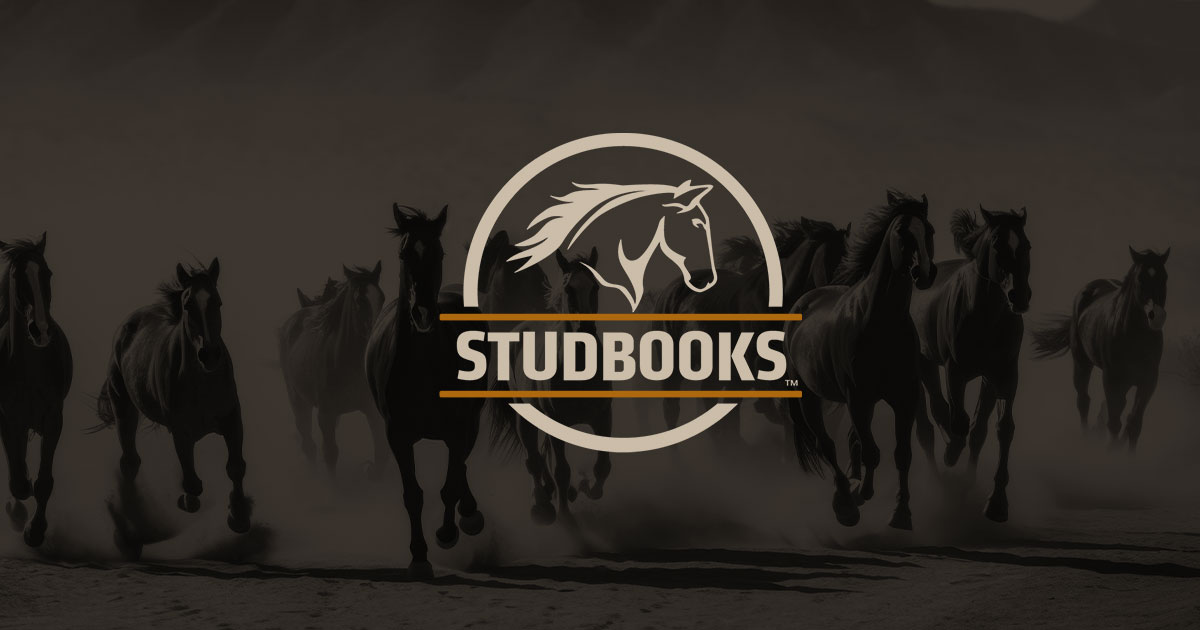 StudBooks > Advanced Search